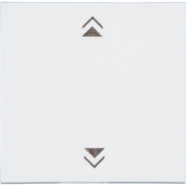 Blue-control – HK07 rocker pad, with arrow symbol for energy self ...