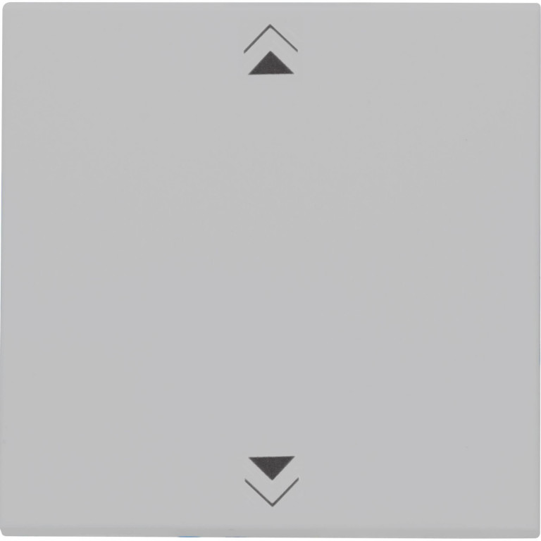 Blue-control – HK07 rocker pad, with arrow symbol for energy self ...